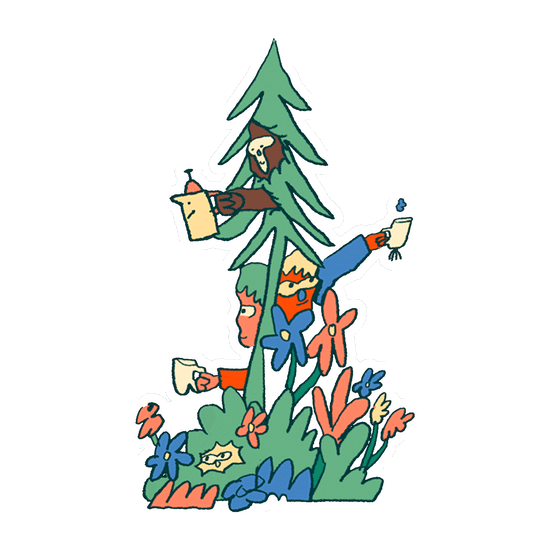 Monteaco - Forest Friendly Tea – MONTEACO