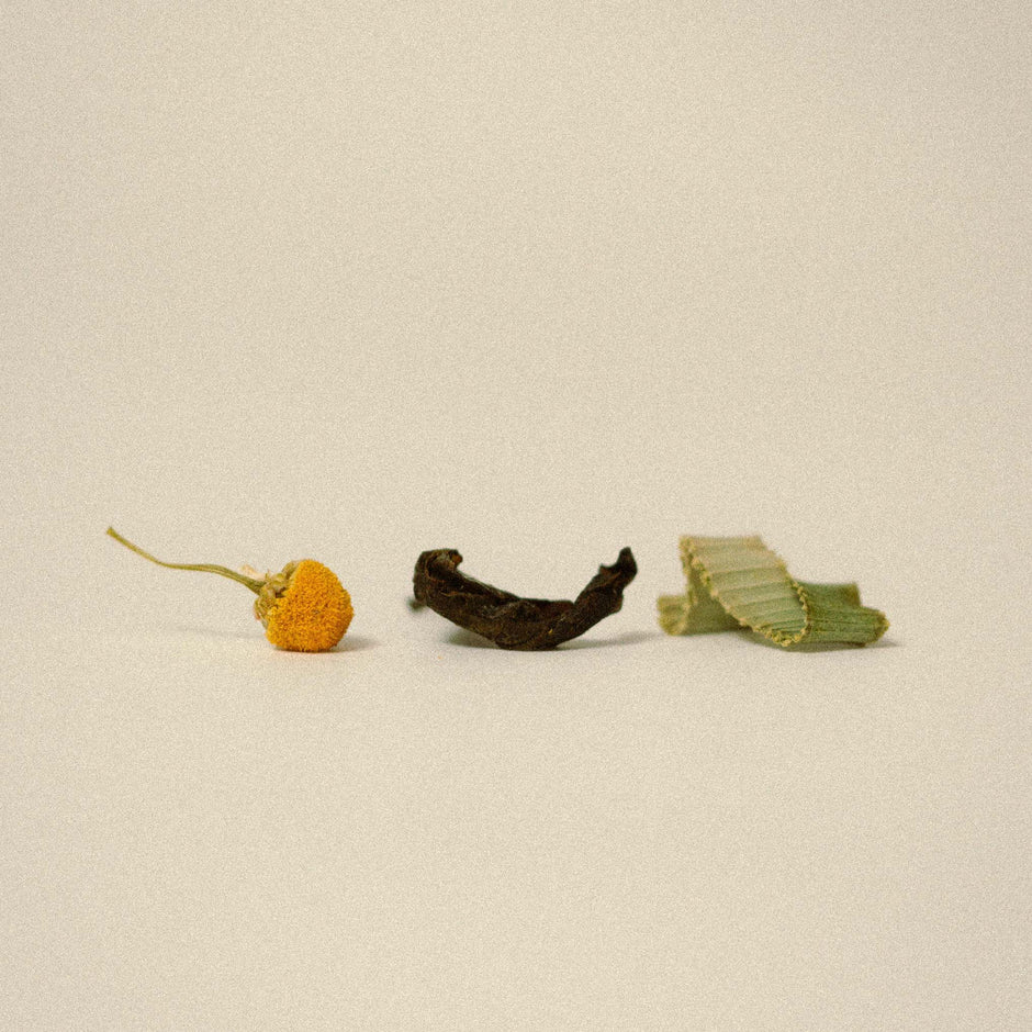 Monteaco - Forest Friendly Tea – MONTEACO