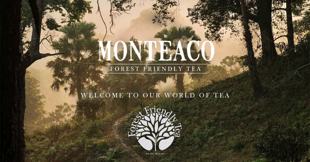 Monteaco - Forest Friendly Tea – MONTEACO